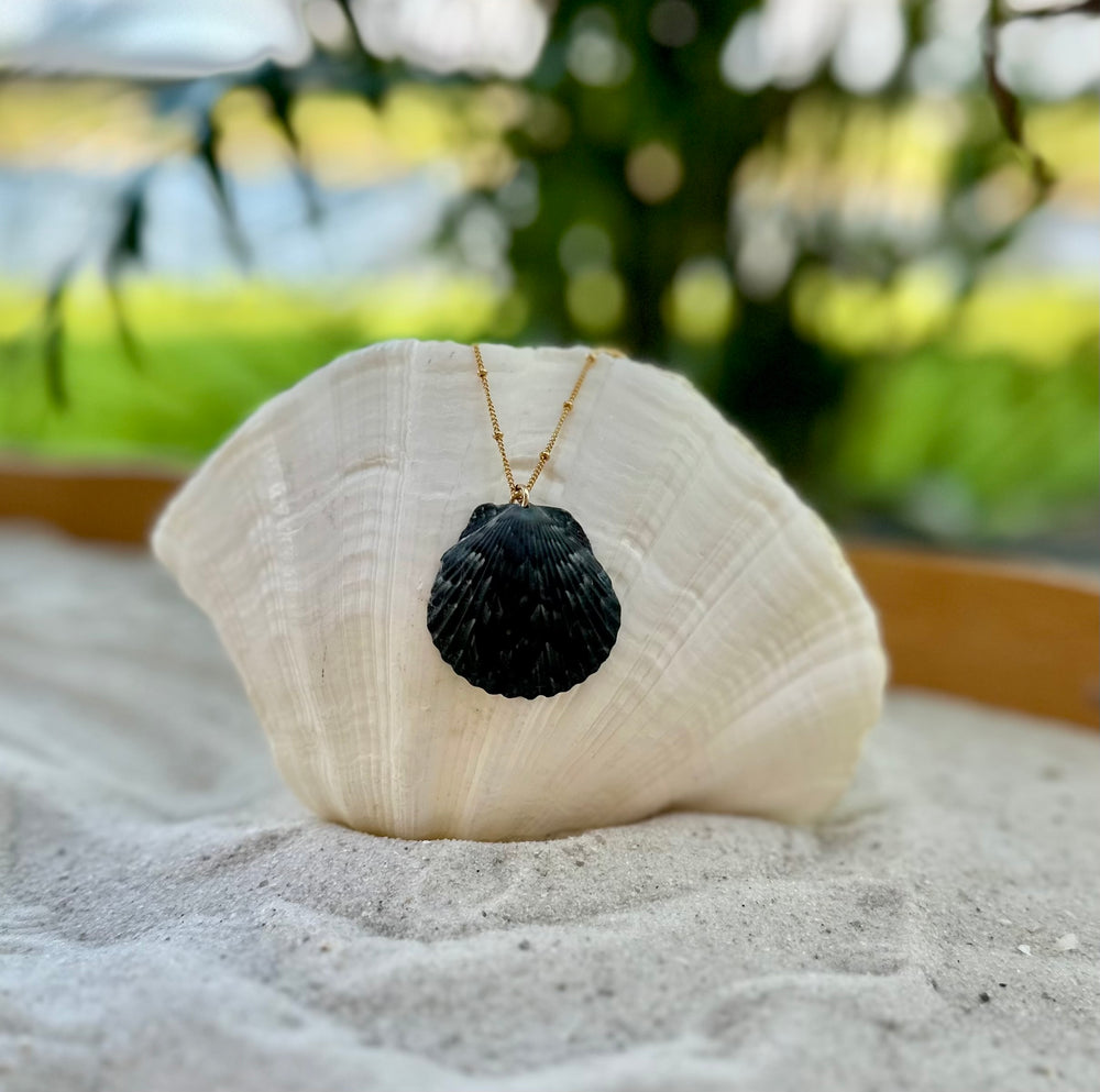 Seashells by the Seashore Shop